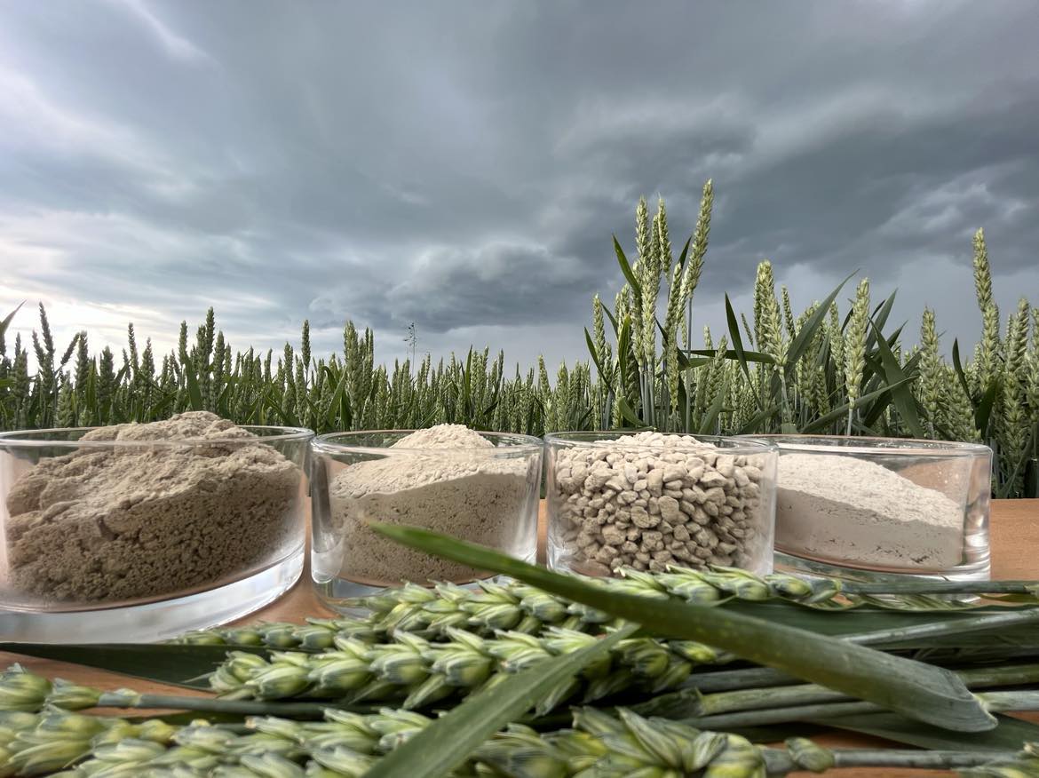 Žemės ūkiui – AB Naujasis Kalcitas